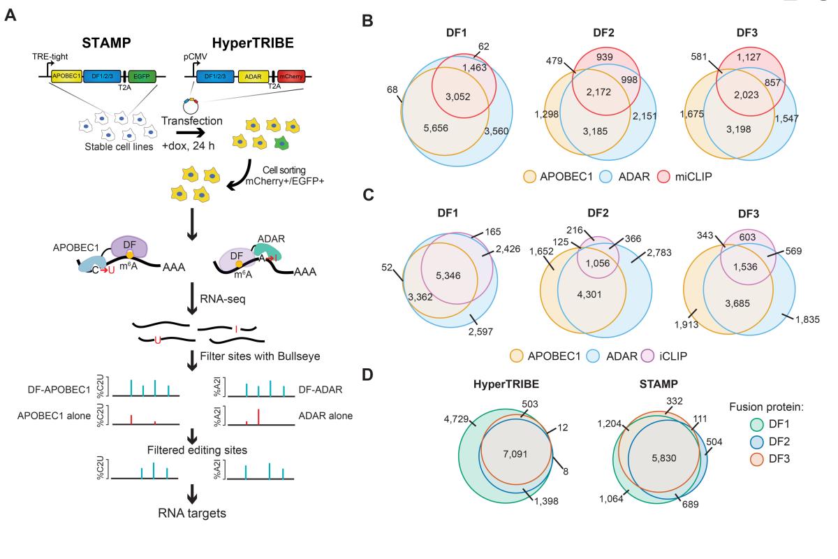 Home Page Carousel | Duke Department of Biochemistry