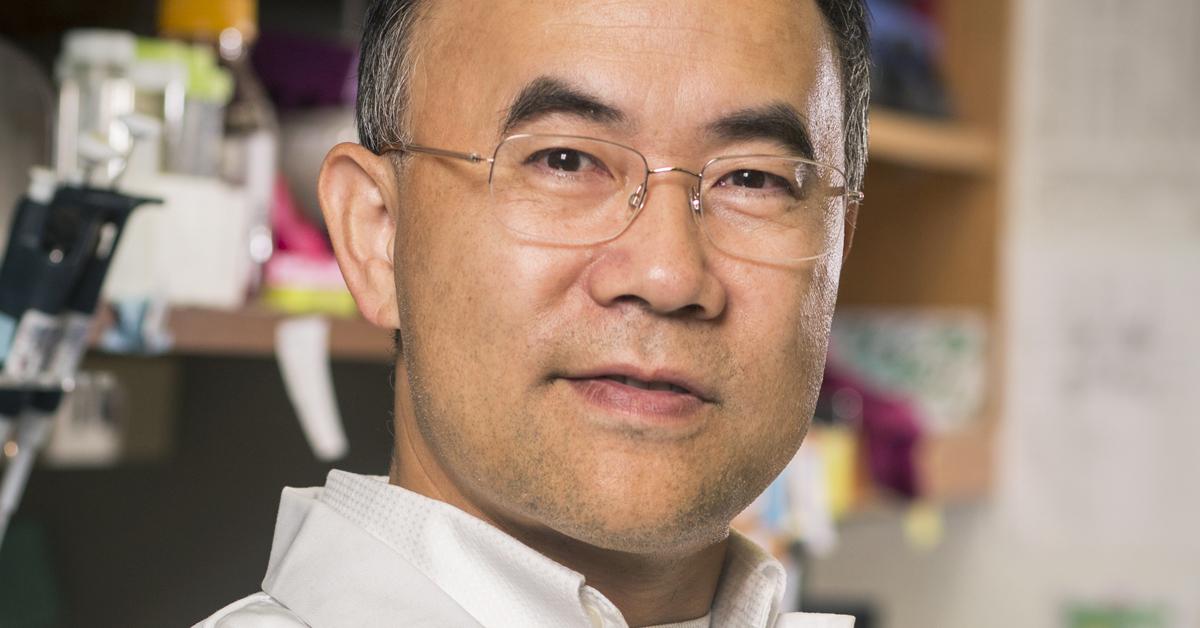 Dr. Pei Zhou Among 65 Fellows Elected to the American Academy of ...